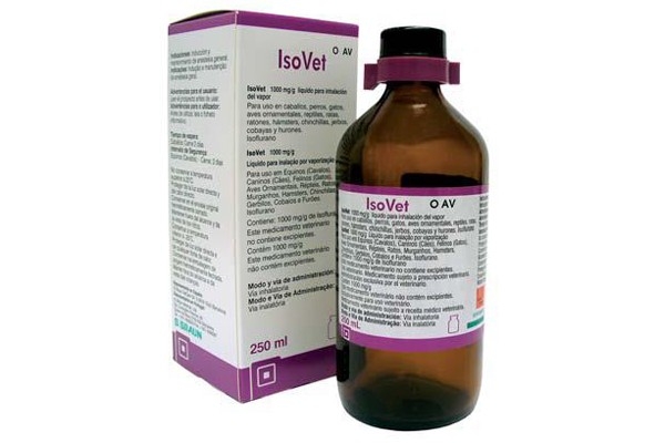 Anestesia y analgesia